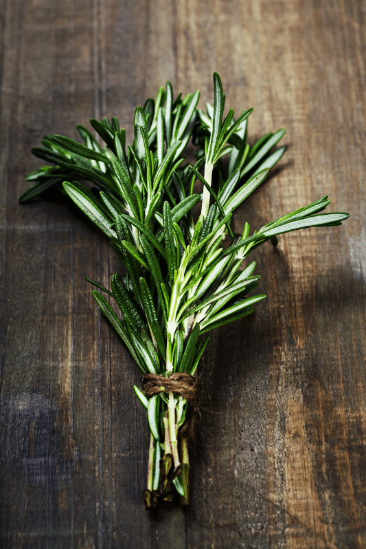 Rosemary in Cocktails: How to Add Bold Flavor and Fragrant Flair