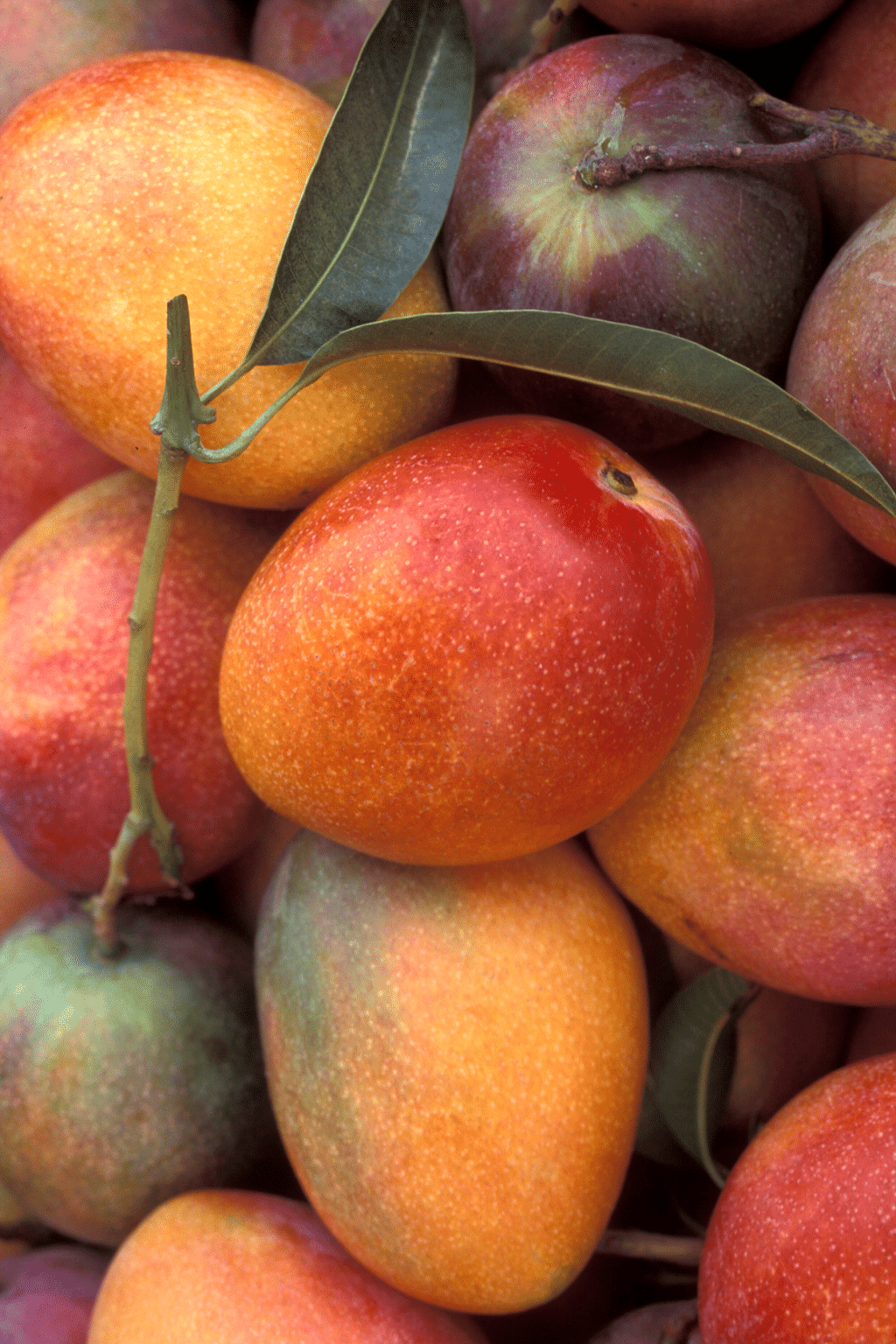 How to Use Fresh Fruit in Cocktails: A Bartender’s Seasonal Cheat Sheet